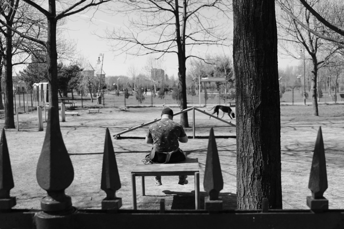 Journalism | Max Ramsay